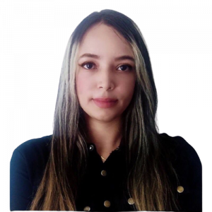 About Us - Linkvest Capital